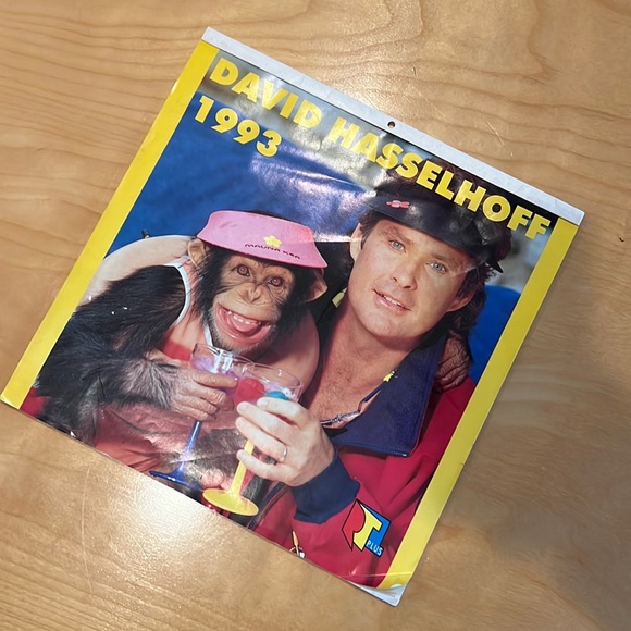 Wall Decor | Vintage David Hasselhoff 1993 Calendar | Poshmark